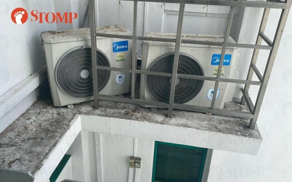 Admiralty Drive HDB block hit by bird droppings since 2023, resident ...