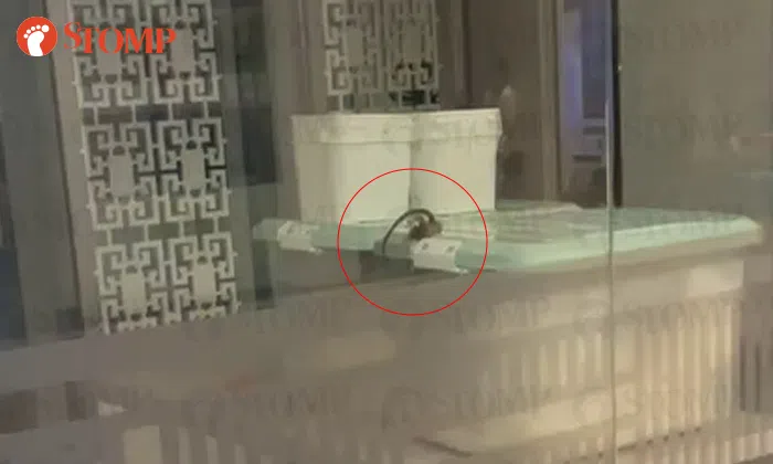 Restaurant responds to Stomper's video showing 'shadow of a suspected ...