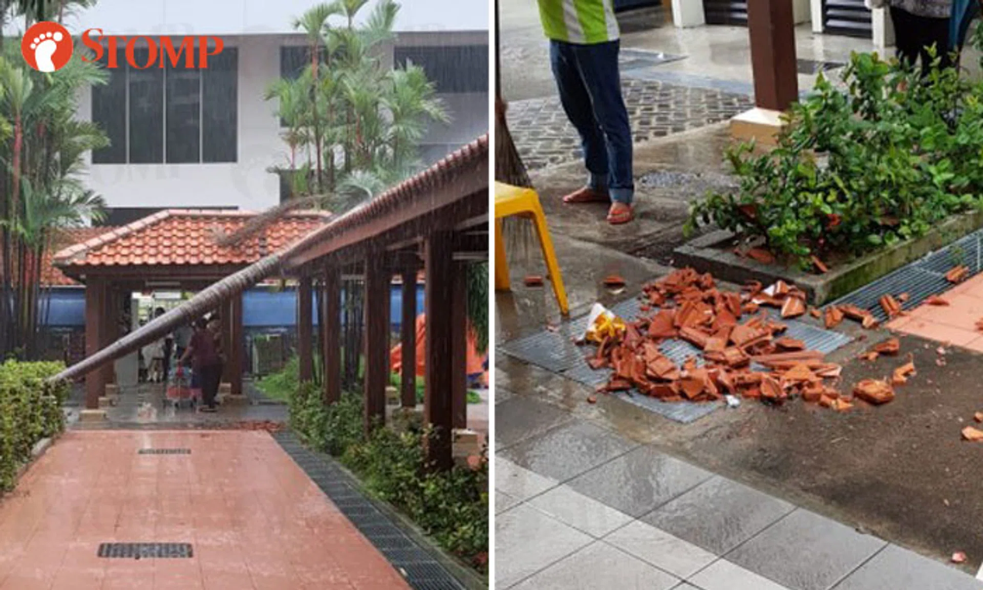 Palm tree falls and smashes into tiles on..., Latest News - STOMP