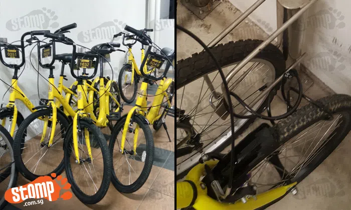 Oh For Bikes Sake A Compilation Of Ofo And Obikes That Have Been 4266