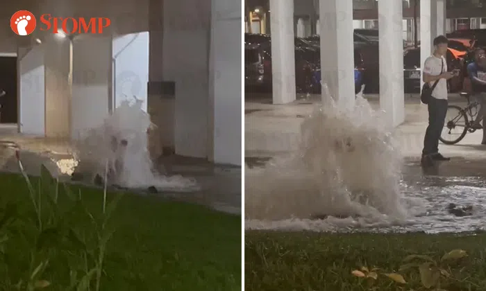Burst pipe sends water gushing out of fire hydrant in Yishun | STOMP