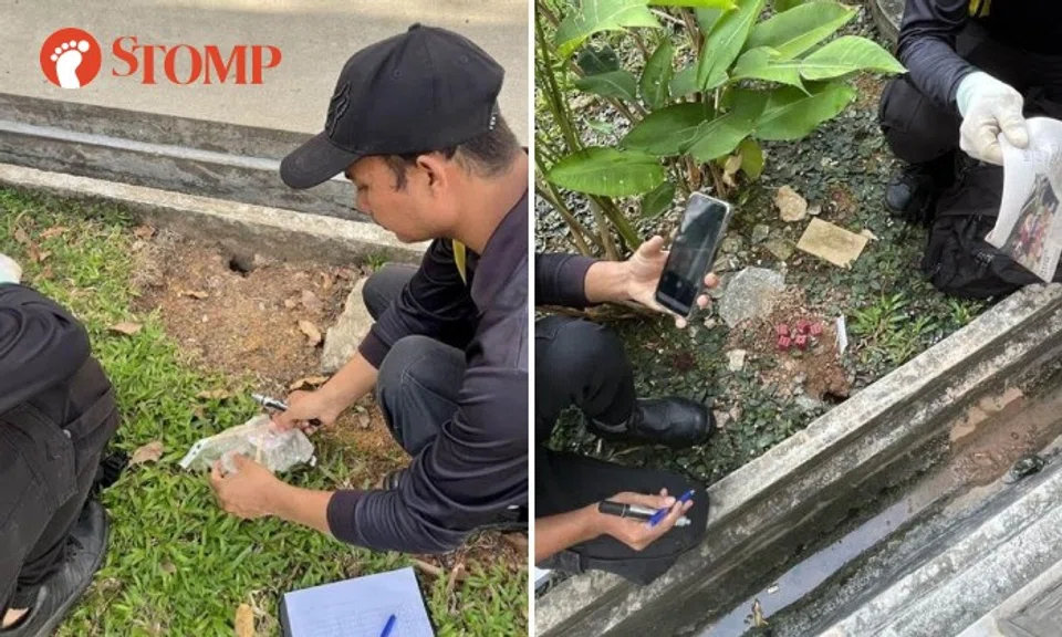 'Rat'-tling bins scare Bukit Batok residents at night, town council ...