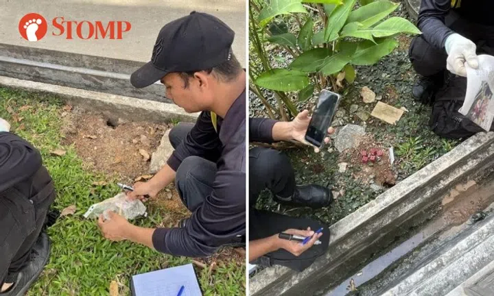 'Rat'-tling bins scare Bukit Batok residents at night, town council ...