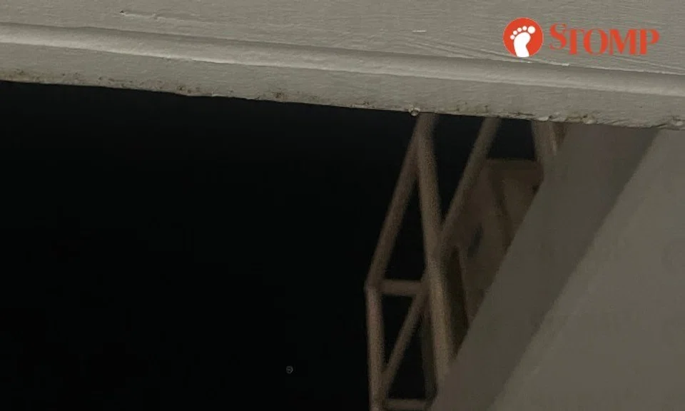 Noisy neighbours 'always banging day and night', hang wet clothes ...