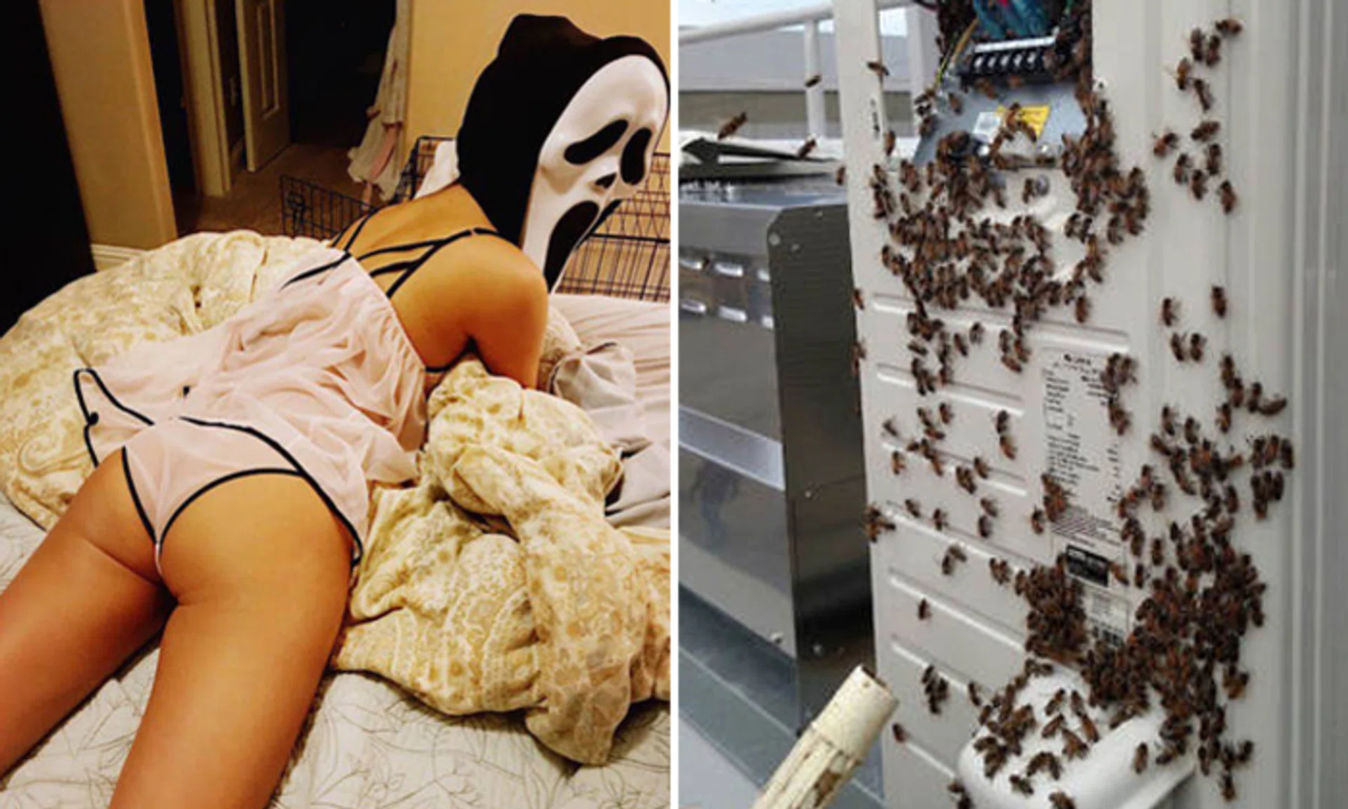 Freaking scary photos that will make you scream 'nope!' | STOMP