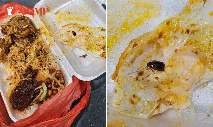 Cockroach in nasi lemak from Bedok North stall: SFA finds no pest ...