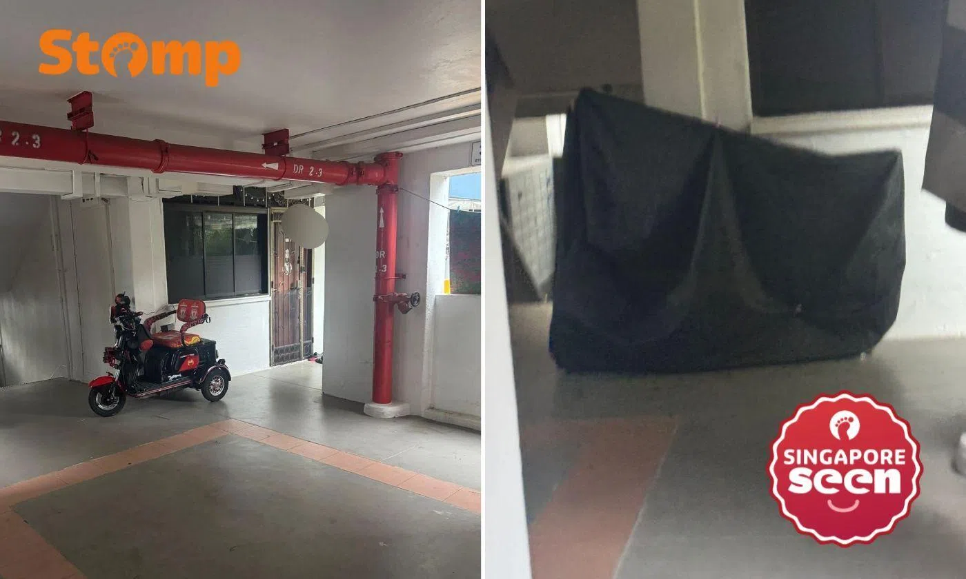 Singapore Seen: Latest Singapore News & Stories on Stomp