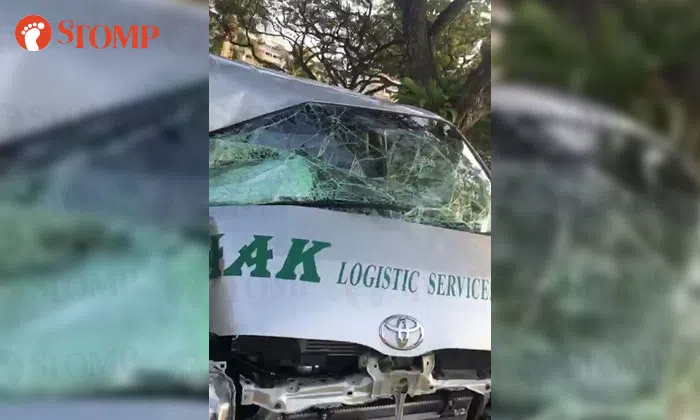 Van driver suffers head injury after colliding with tree along West ...
