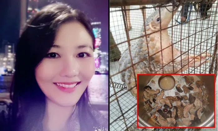 'Pangolin Princess' arrested in China after photos showing dishes made ...