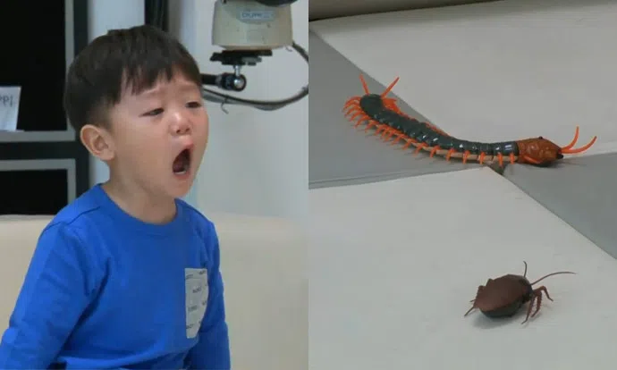 Dad plays epic prank on his kids by releasing toy bugs in his home | STOMP