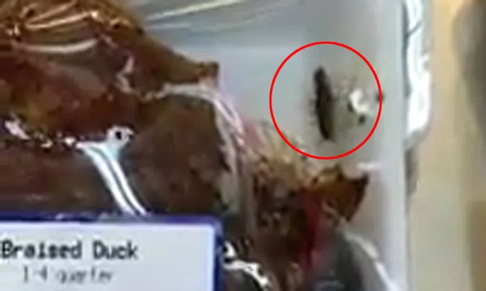 Live cockroach found in packet of braised duck bought from supermarket ...