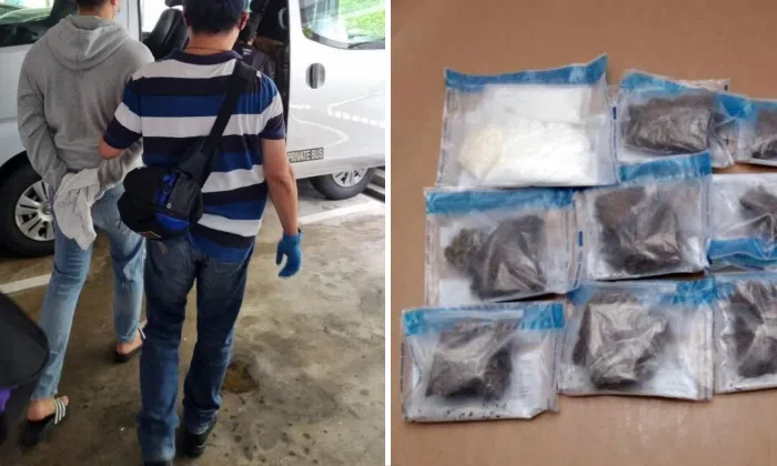 17-year-old boy arrested after 371g of cannabis found near him in South Buona Vista Road | STOMP