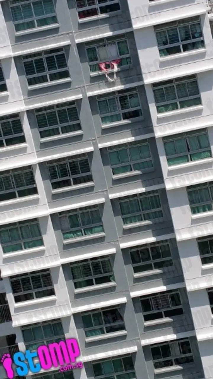 Woman disappointed to see tattered S'pore flag hung outside Punggol HDB ...