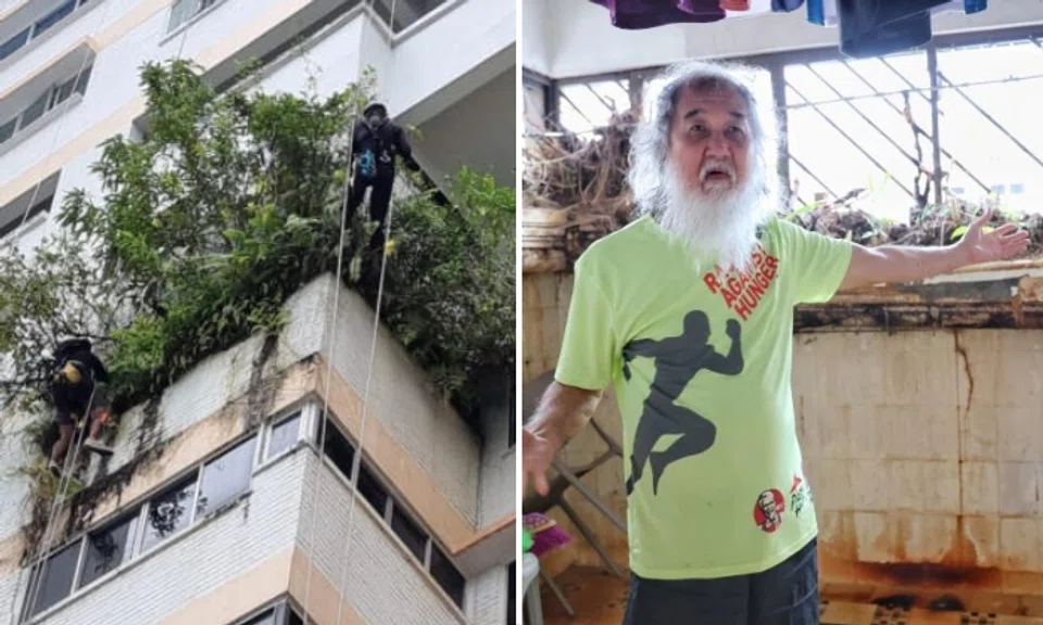 Workers rappel down Jurong West block to trim overgrown plants on 9th ...