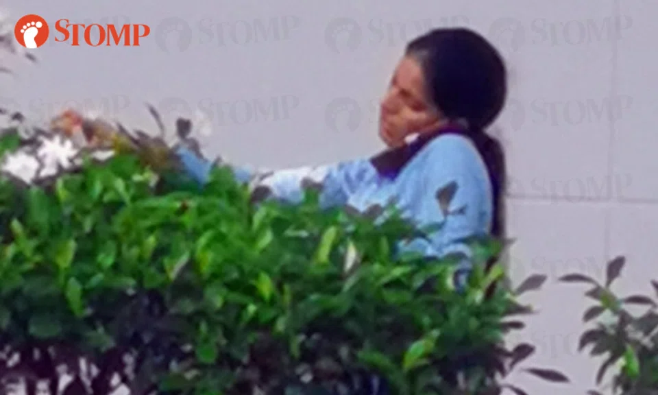 Passer-by in 'disbeleaf' over woman plucking roadside plants outside ...