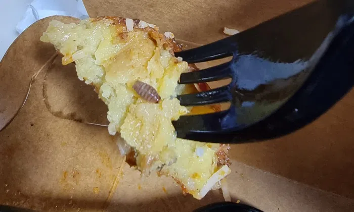 SFA looking into case of man finding bug in Crave nasi lemak from Bedok ...