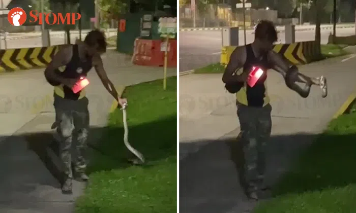 Python coils itself around man's arm after he..., Latest News - STOMP