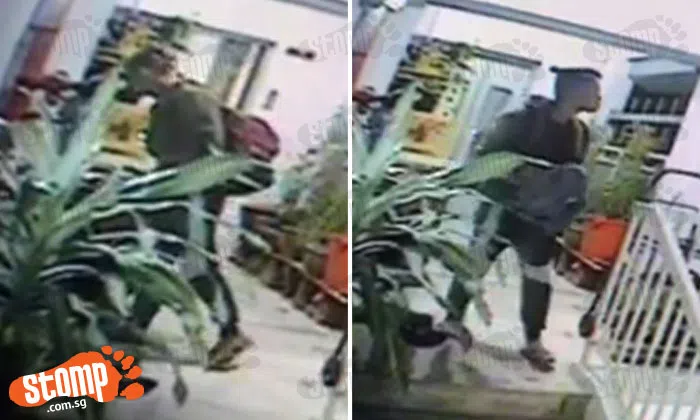 Say 'cheese', shoe thief...you're caught on camera | STOMP