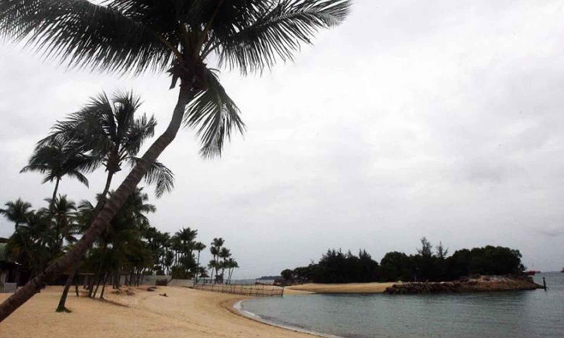 NUS investigating students for stripping at Siloso Beach during ...