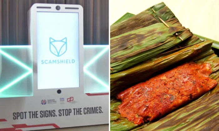 Scam victims asked to download fake ScamShield app after answering ad ...