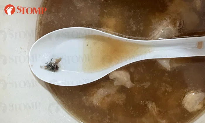 Saap Saap Thai apologises, SFA investigating after diner finds dead fly ...