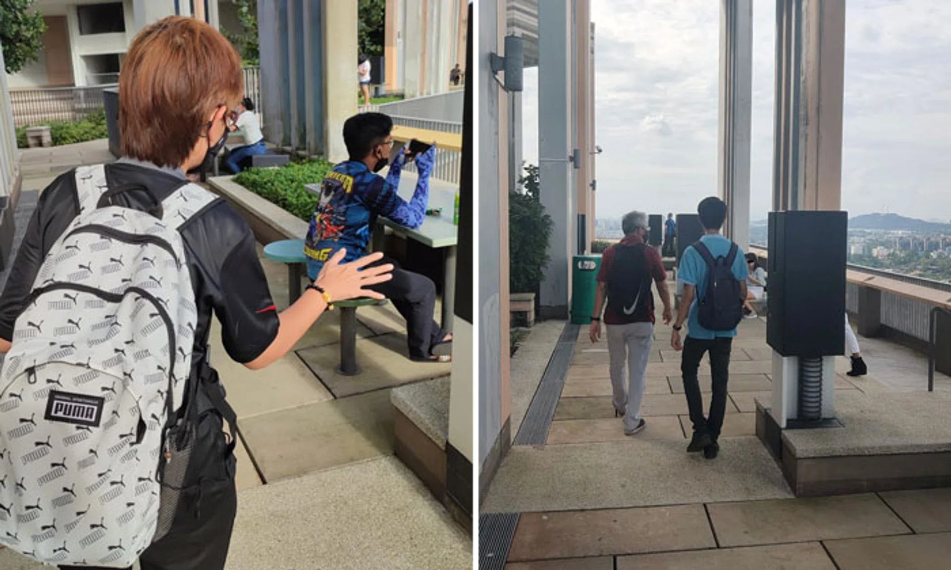 Enforcement operation carried out at SkyVille @ Dawson rooftop garden ...