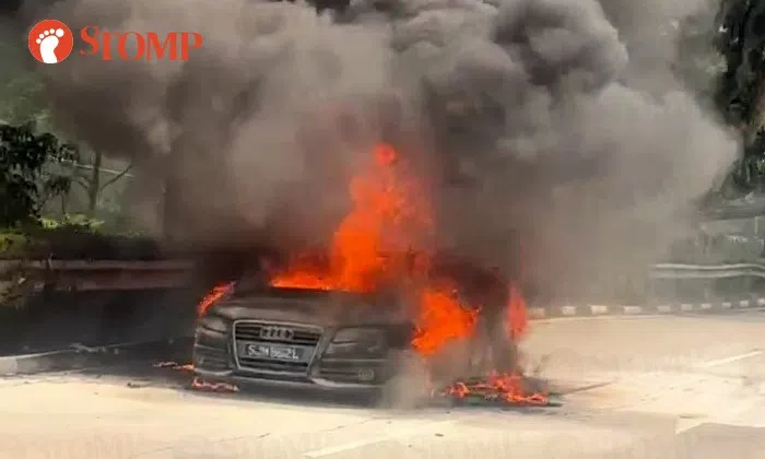 Audi engulfed in flames at Lower Delta exit of AYE | STOMP