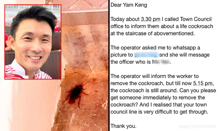 Tampines resident emails MP Baey Yam Keng for help -- over a cockroach | STOMP