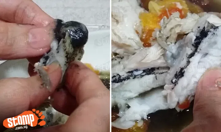 Yikes! What's this black substance found in fish bought from ...