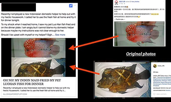 Something fishy? Viral story of maid frying 'Luo Han' is fake, claims ...