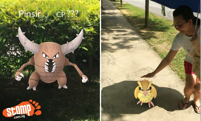 Stomp Team and Stompers try out Pokemon Go -- and none of us can stop ...