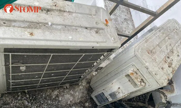 Admiralty Drive HDB block hit by bird droppings since 2023, resident ...