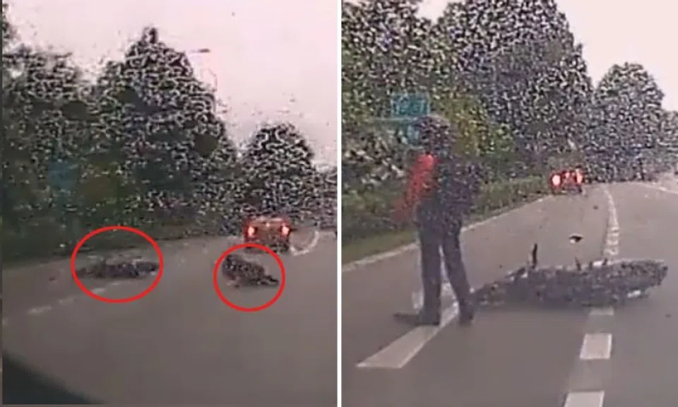 Driver makes abrupt lane change and sends motorcyclist flying at Mandai ...