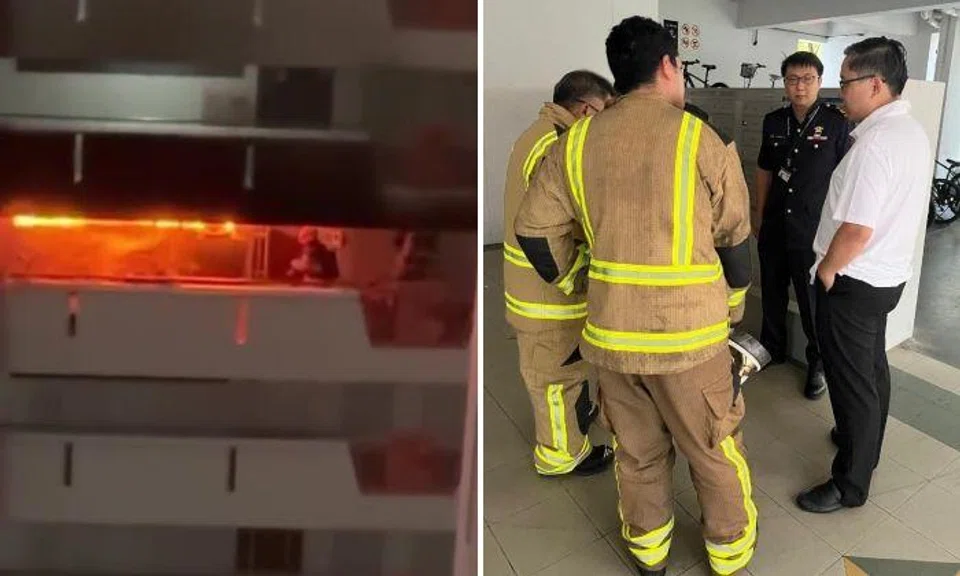 Elderly woman dies in Yew Tee fire: 'Sorry, sir, we tried our best ...