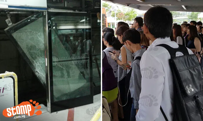 Stompers share photos of dislodged platform screen door that caused ...