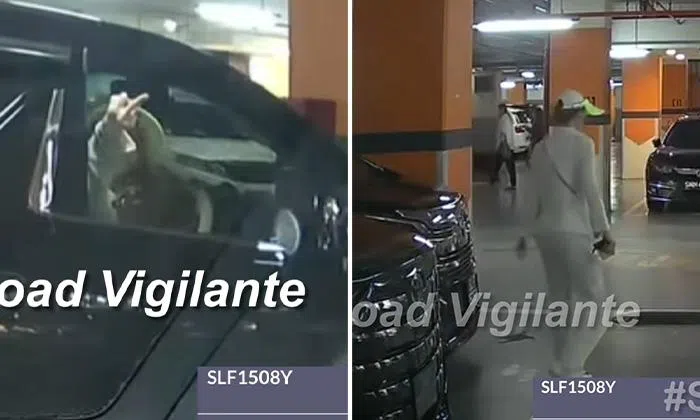 Woman shows middle finger, gestures at driver to shoo while reversing ...