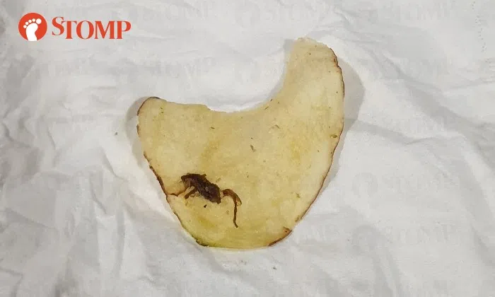 Customer shocked to find insect stuck on Tyrrells crisp, company says ...