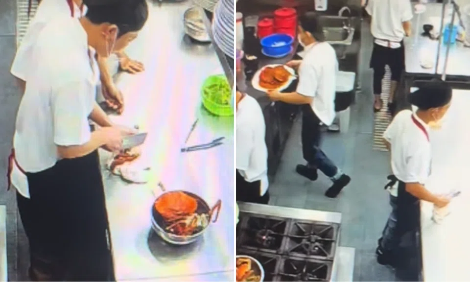 Customer questions restaurant staff cutting crab on rag used for ...