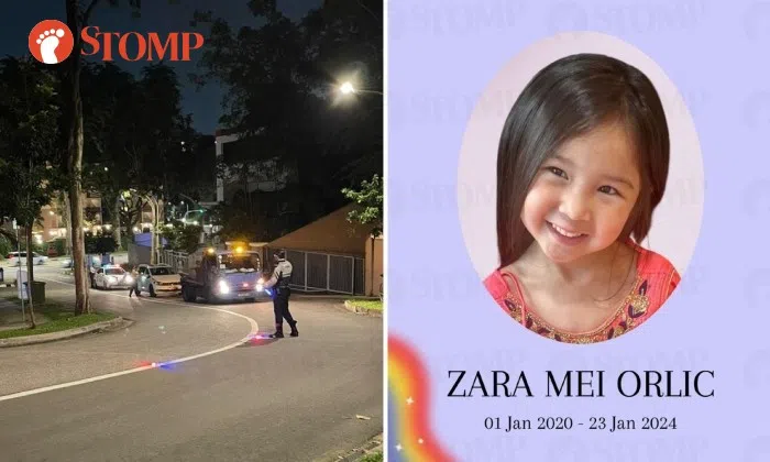 Maid screams for car to stop but it hits girl, 4: Woman arrested for ...