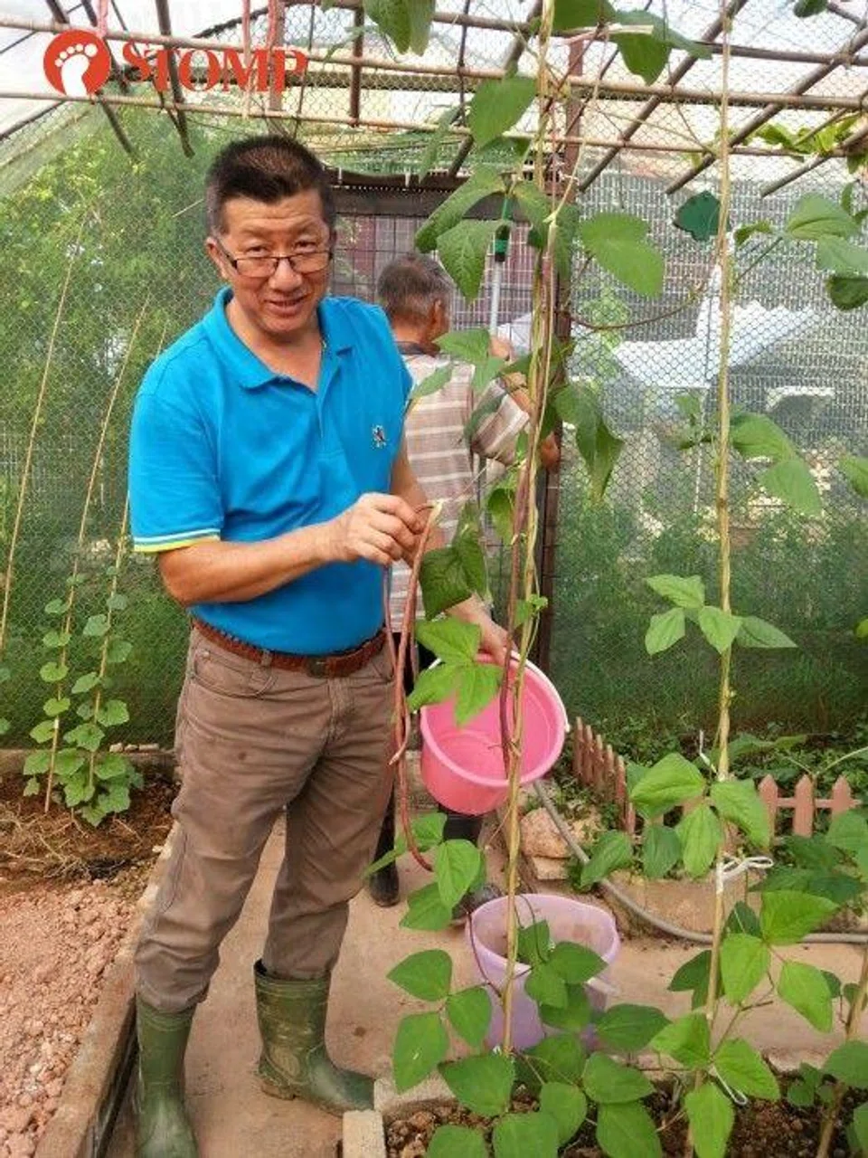 Stomper gives away vegetables all year round and decorates office for ...