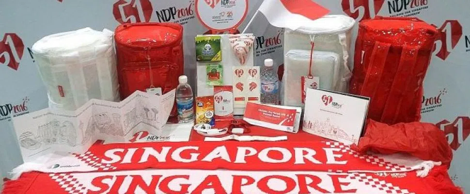 How this cool new gadget in this year's NDP funpack with make ...