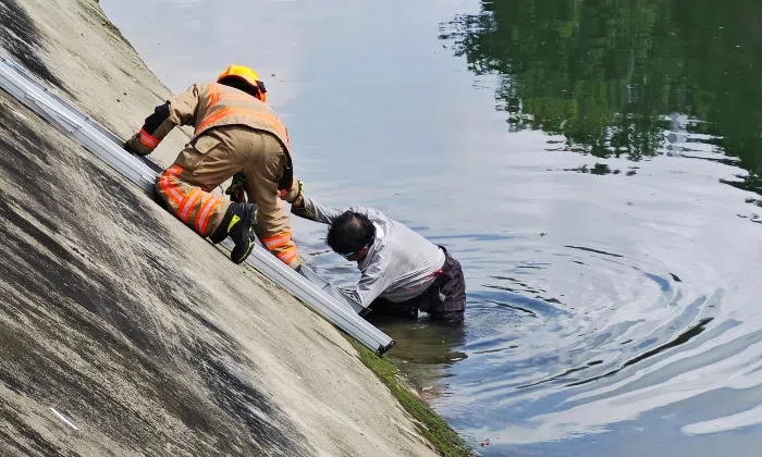 Uncle rescued from drain in Telok Kurau was trying to release turtles ...