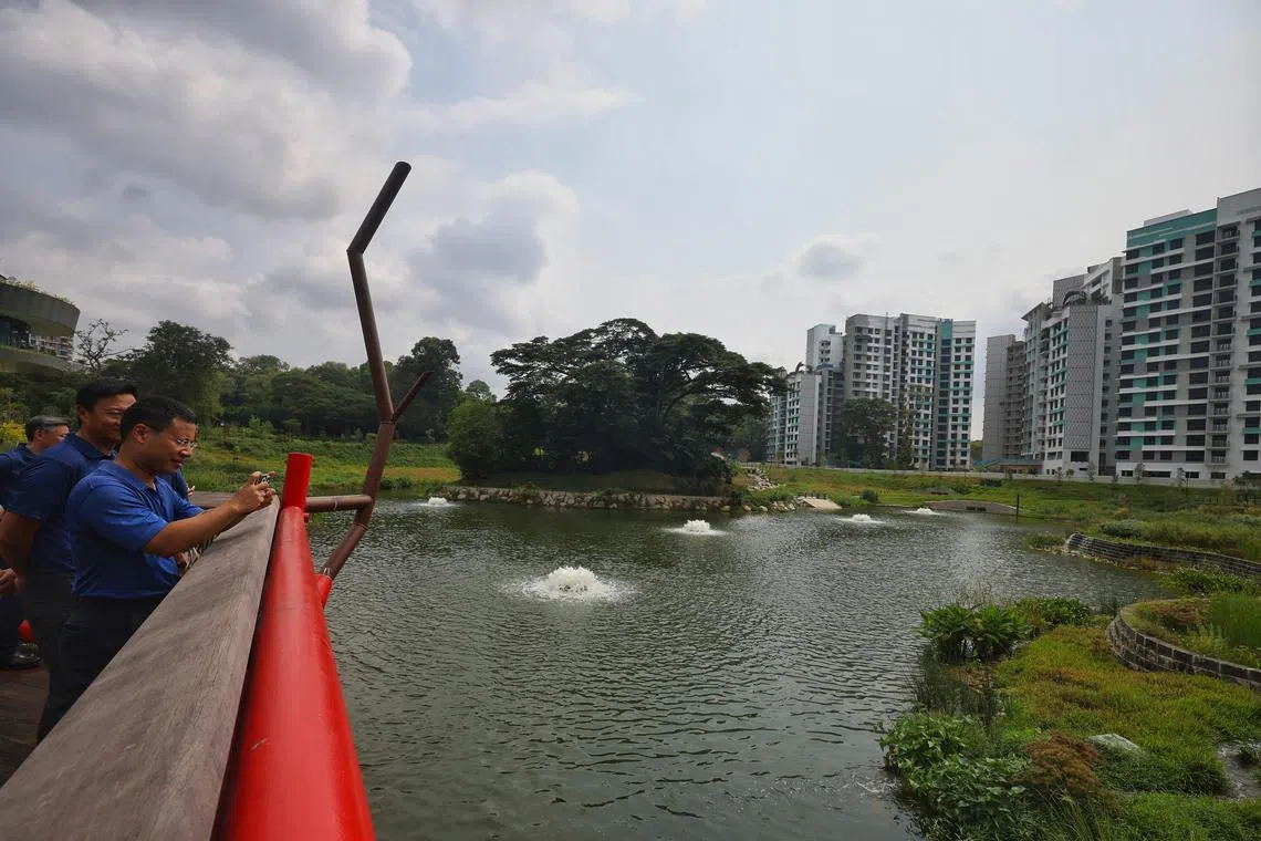New Hundred Acre Wood-inspired park in Bidadari has a freshwater lake ...