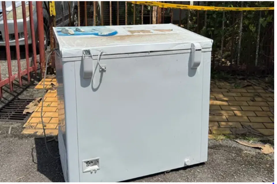 Man detained after elderly mother’s body found in freezer of his KL ...