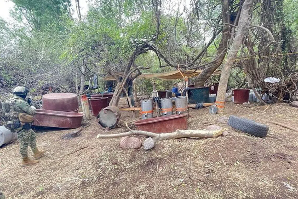 Mexico logs biggest meth lab raid under current admin | The Straits Times