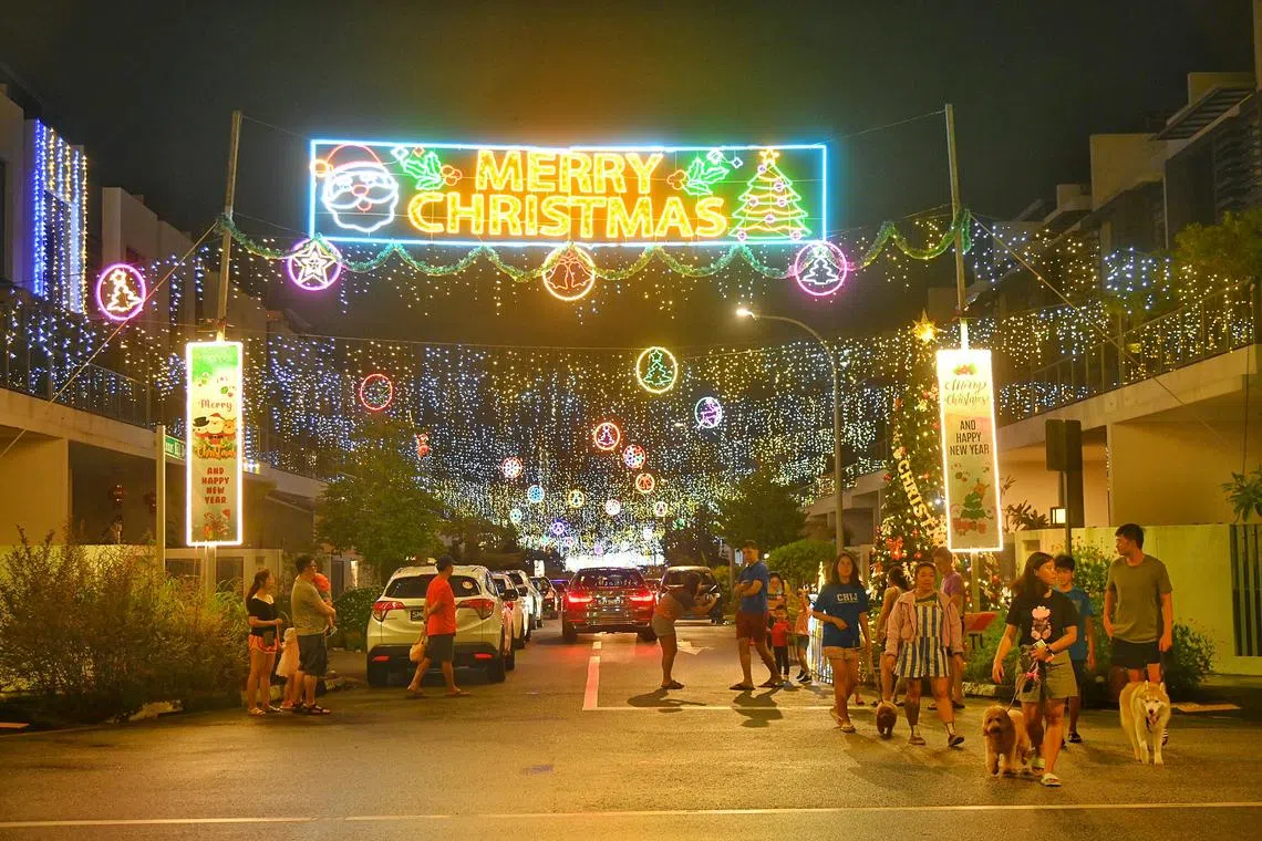 Neighbours spread festive cheer by working together on Christmas ...