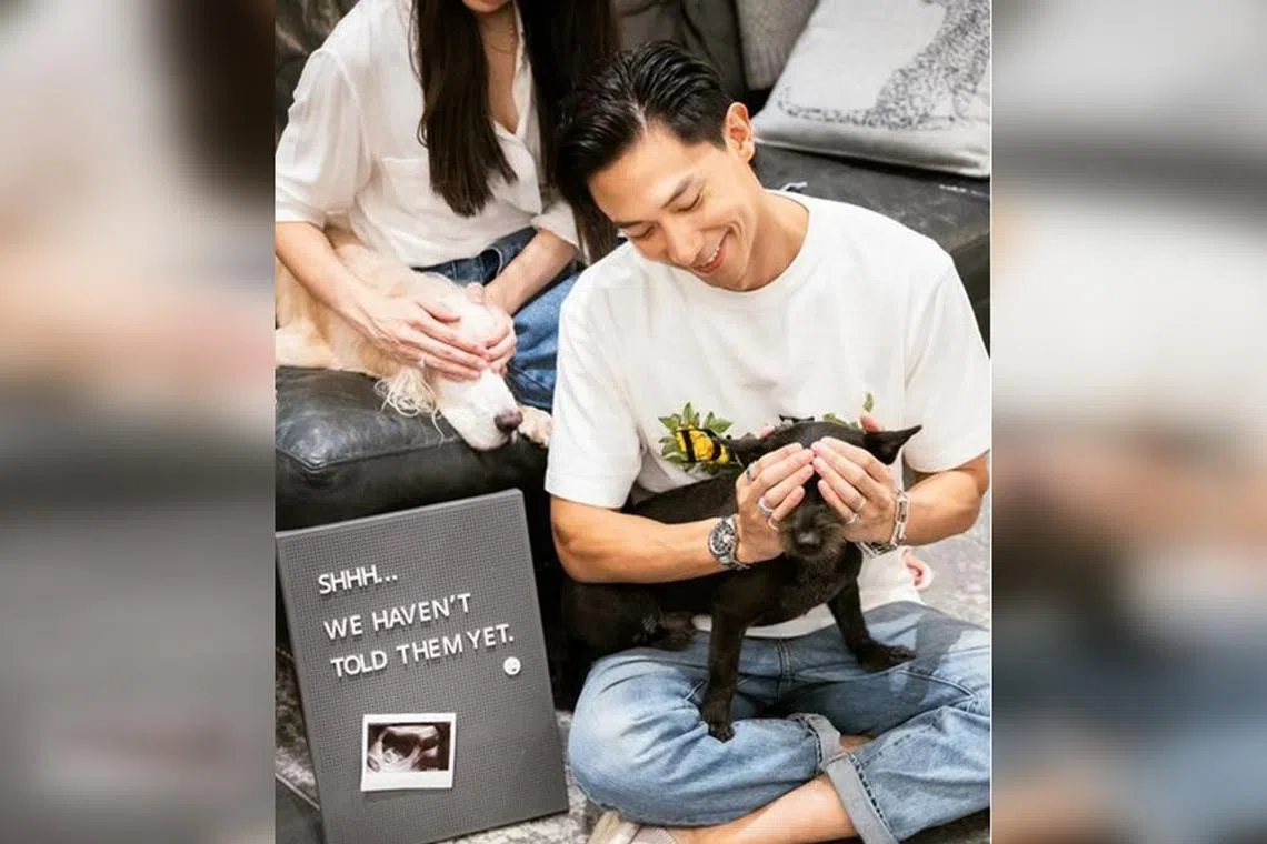 Actor Desmond Tan’s wife is pregnant with a girl | The Straits Times