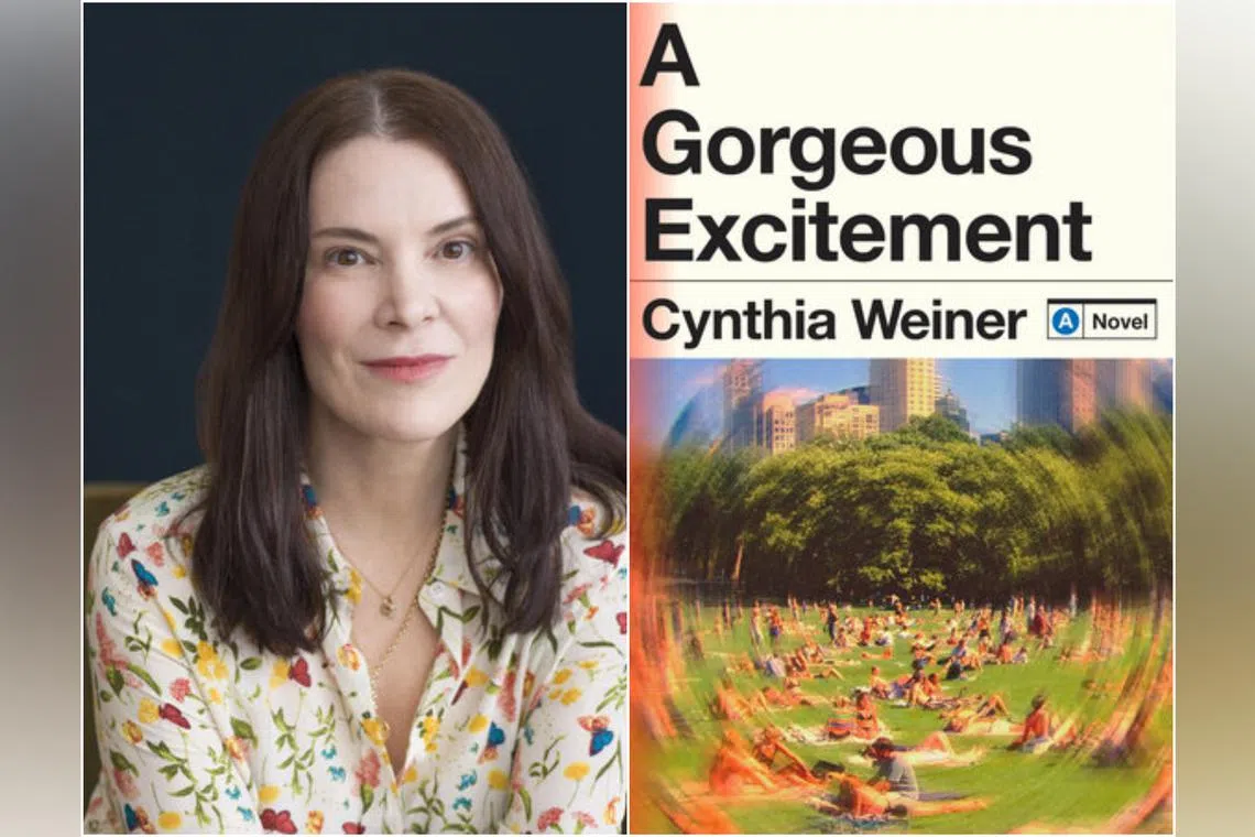 Book review: Cynthia Weiner’s debut novel A Gorgeous Excitement is a ...