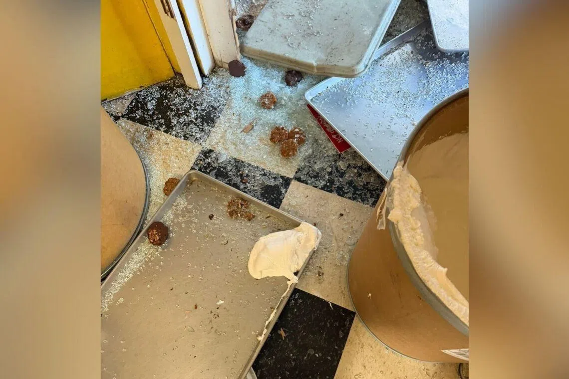 ‘Sure has great taste’: Bear ransacks Tennessee candy store four times ...