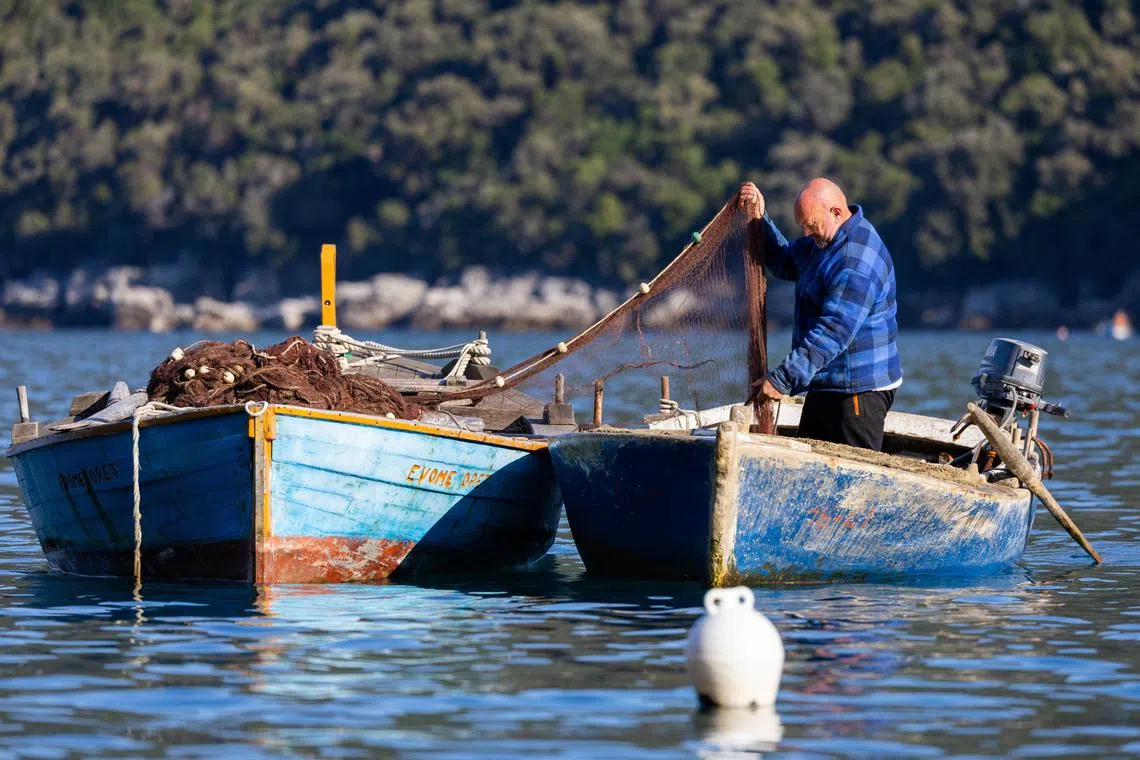 New fish invade the Adriatic Sea, threatening local species | The ...